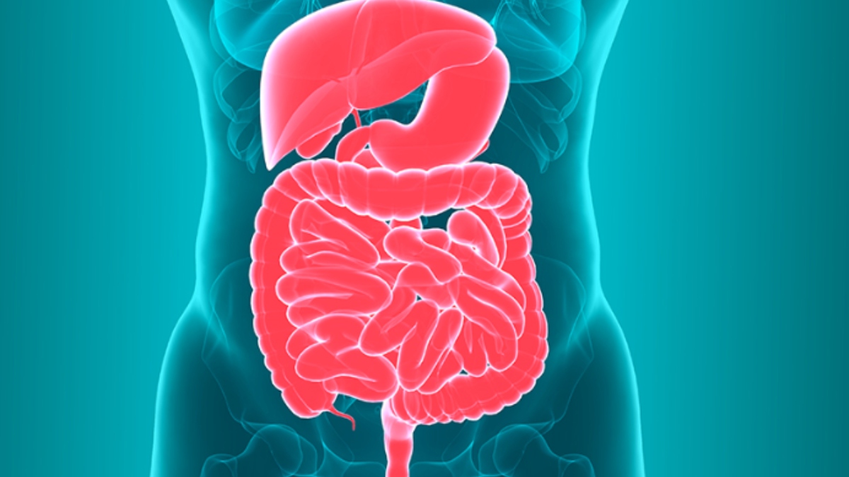 7 Ayurvedic tips to maintain good digestive health during summer ...