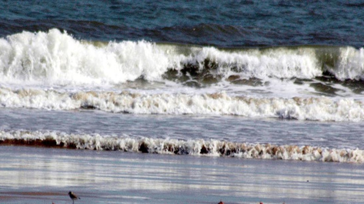 Japan reports first wave of tsunami after 7.2 earthquake rocks Taiwan | World News – India TV