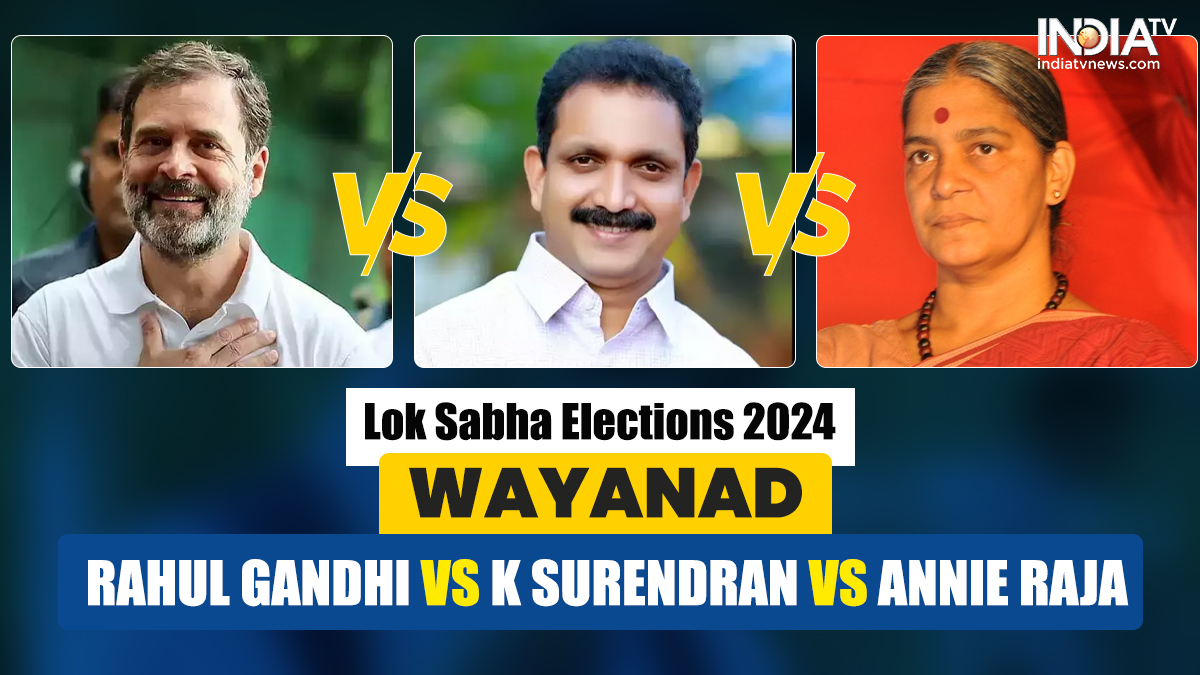 Wayanad Lok Sabha elections: Congress pins hopes on Rahul Gandhi, BJP ...