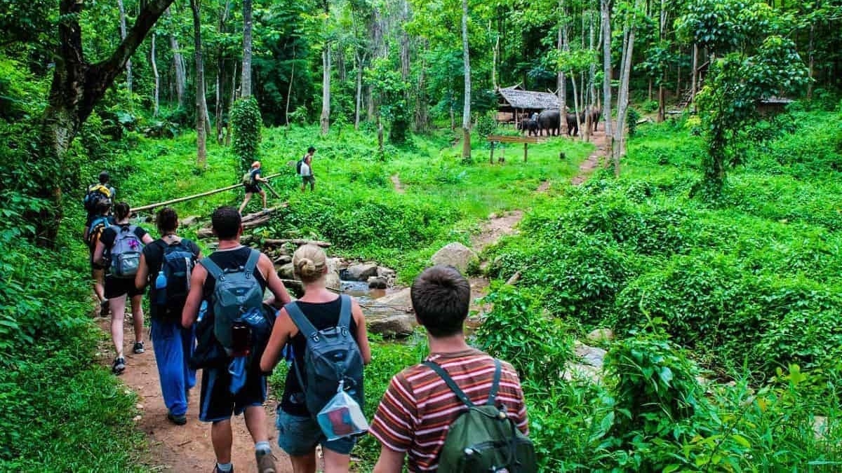 What is Sustainable Tourism? 5 ways to be an eco-conscious traveller ...