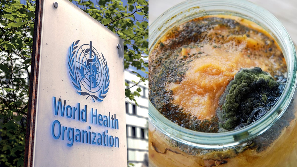 1.6 million people worldwide fall ill daily due to eating contaminated ...