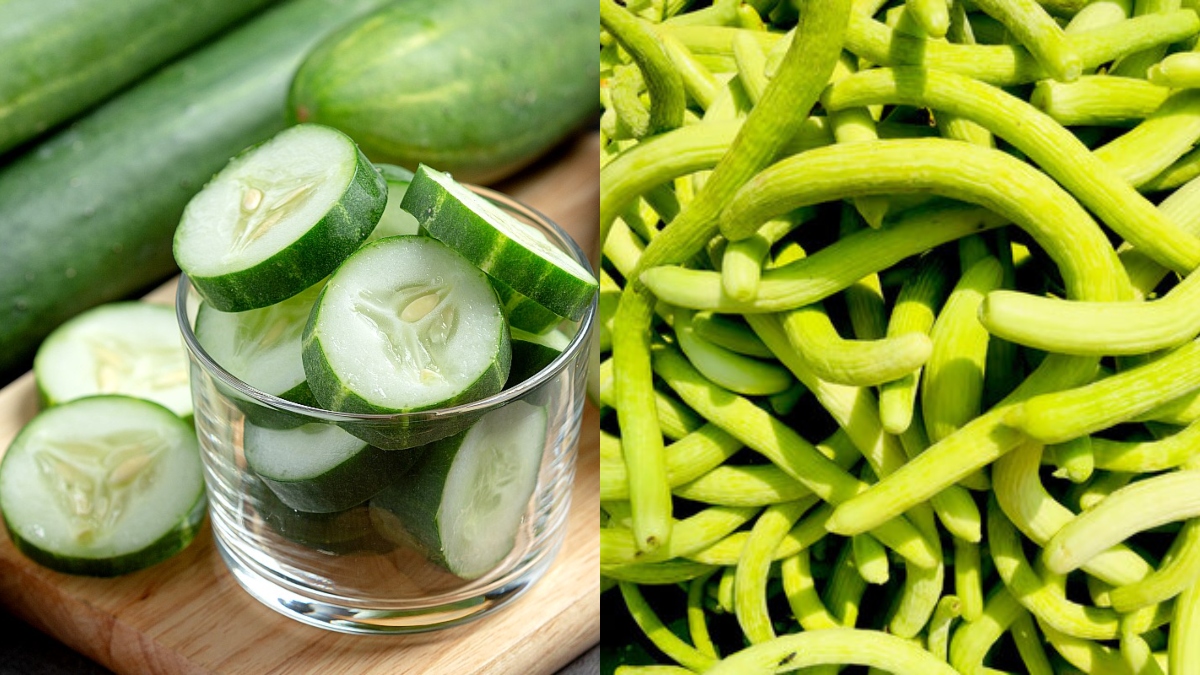 Kheera vs Kakdi: Which is more hydrating and healthier? | Food News ...