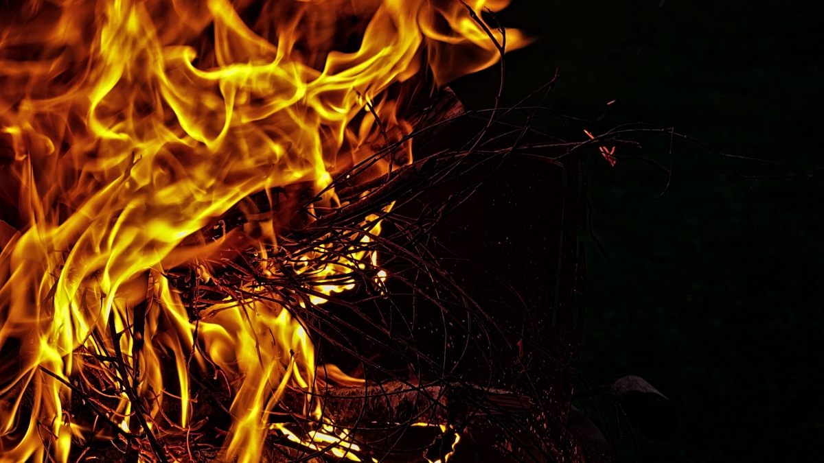 Rajasthan: In honour killing, woman charred to death by father, brother ...