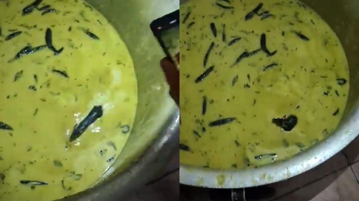 Students react as viral video captures rat swimming in chutney at ...