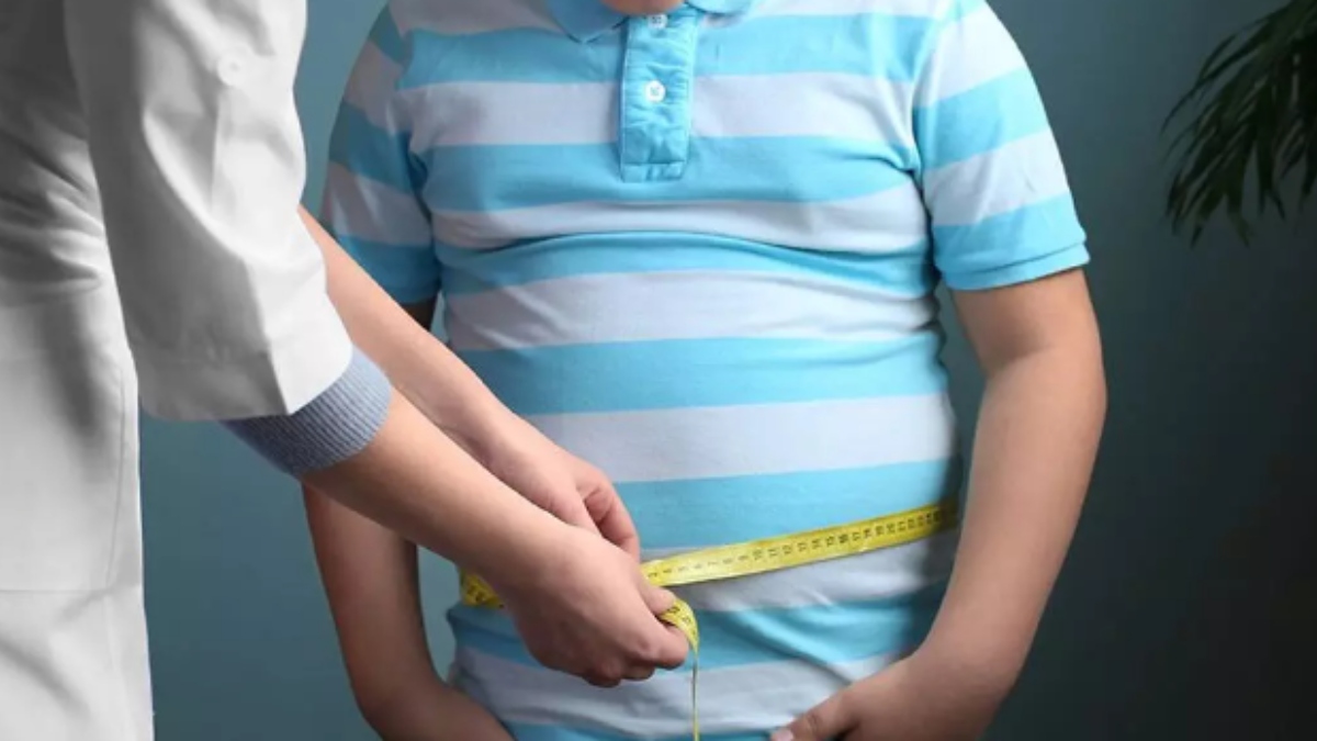 Childhood obesity can contribute to development of immune-related ...