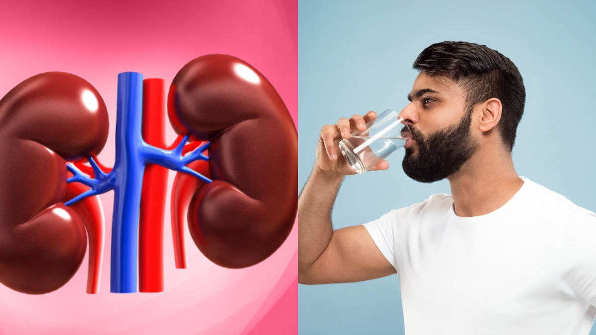 Want to protect your kidney from getting damaged? Know how many litres ...