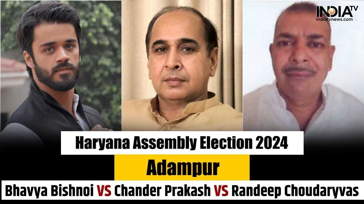 Adampur Assembly Election 2024 haryana bhavya Bishnoi Bhajan Lal ...