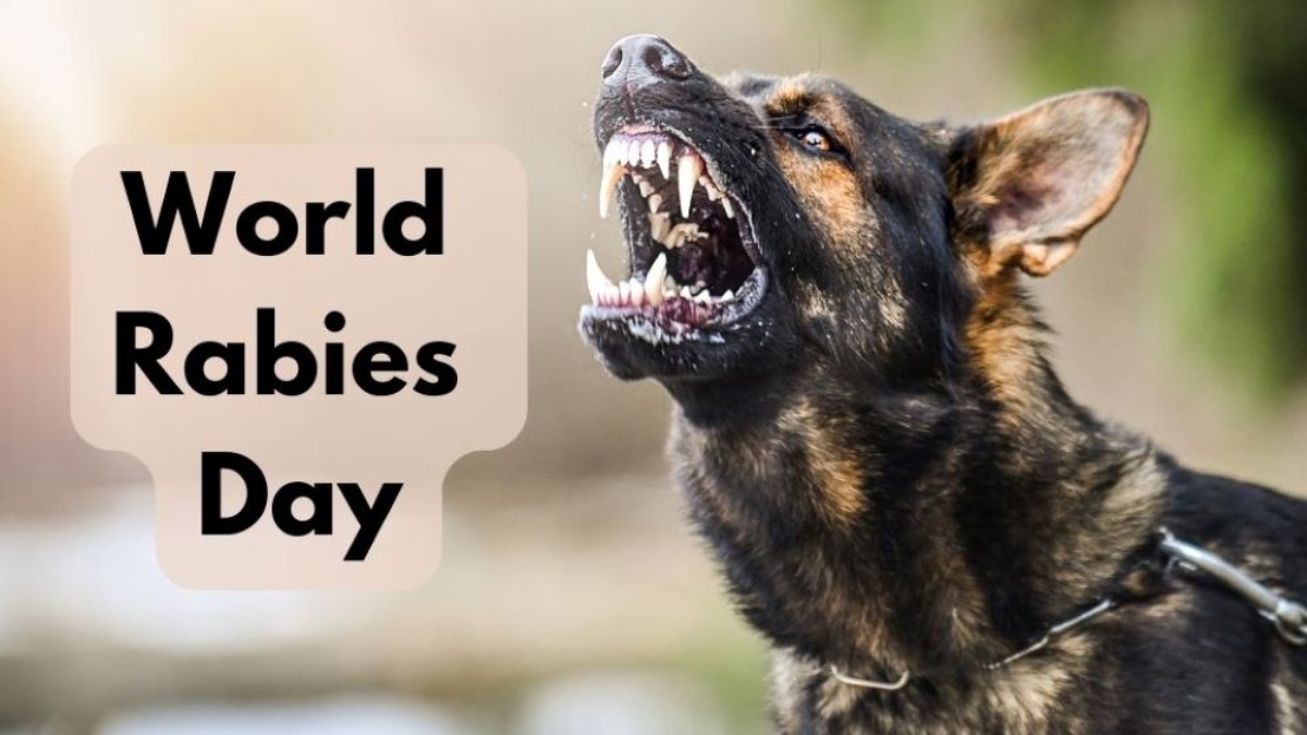 World Rabies Day 2024: Know the date, theme, symptoms and preventive ...