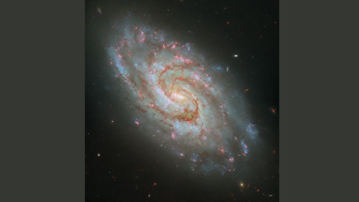 NASA's Hubble telescope reveals stunning Spiral Galaxy in deep space | Science News – India TV