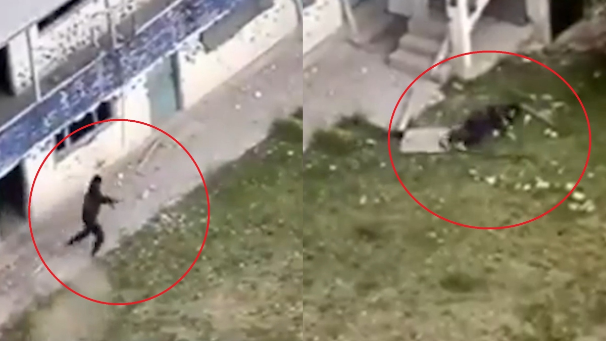 WATCH: Drone footage shows terrorist running for cover, gunned down by security forces in J-K's ...