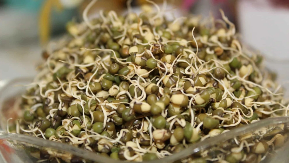 Eating peeled Moong Dal Sprouts in breakfast helps in weight loss and provides nutrition, know ...