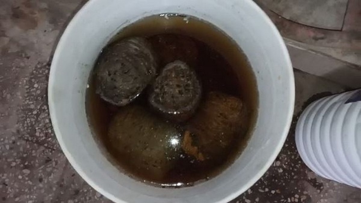 Three bomb like objects found during excavation in Pimpri Chinchwad ...