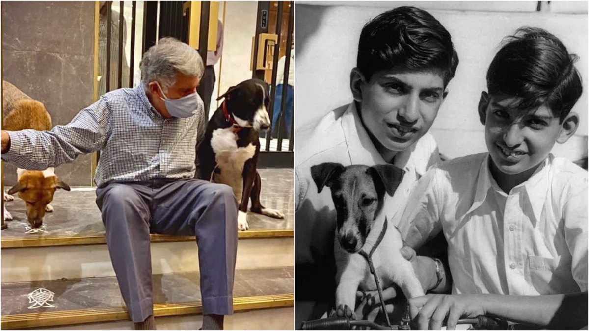 Ratan Tata's 'paw-sitive' legacy: Know about industrialist's compassion ...