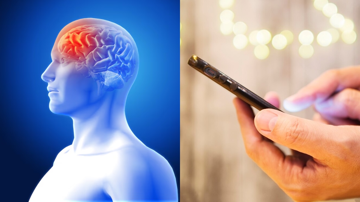 What Is Brain Rot Know Everything About Oxford s Word Of The Year