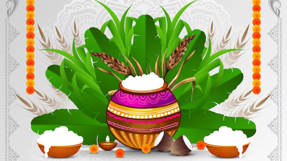 Pongal 2025: Know how the 4-day harvest festival is celebrated | Lifestyle News – India TV