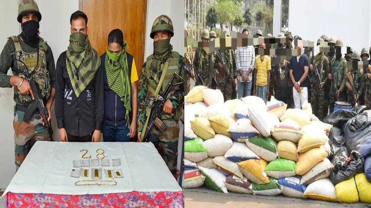 Assam Rifles seizes gold worth Rs 1 crore, 2,289 kg marijuana in anti ...