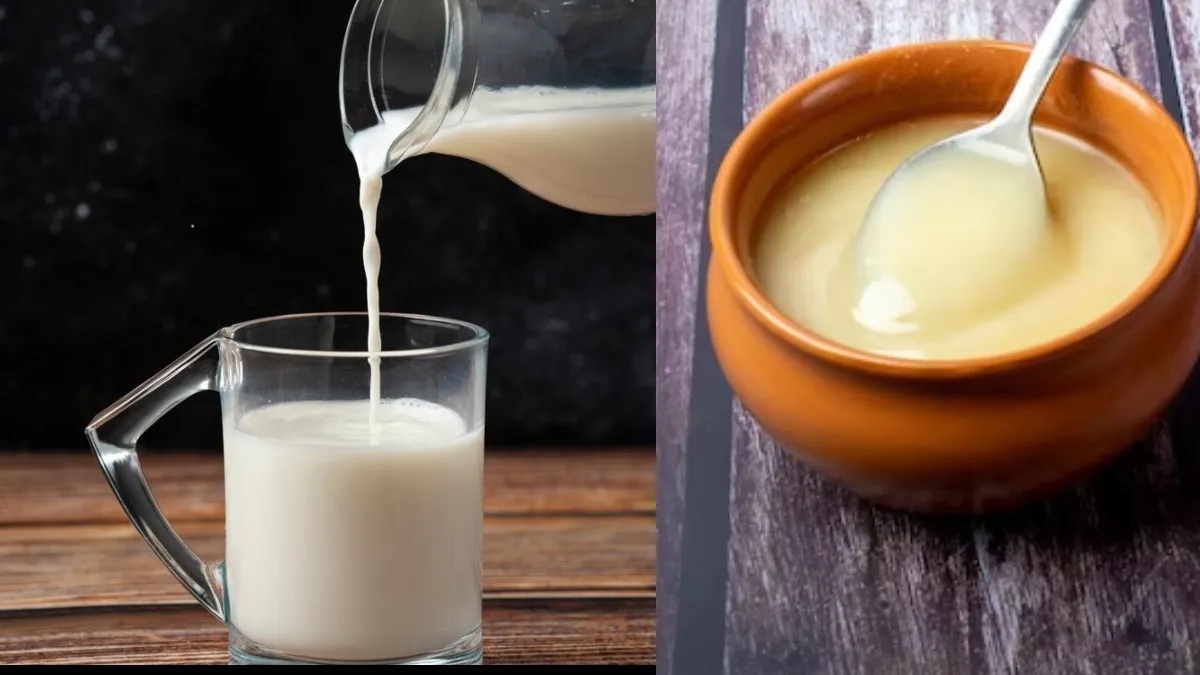 Is consuming milk and ghee harmful to the body? Know from expert when ...