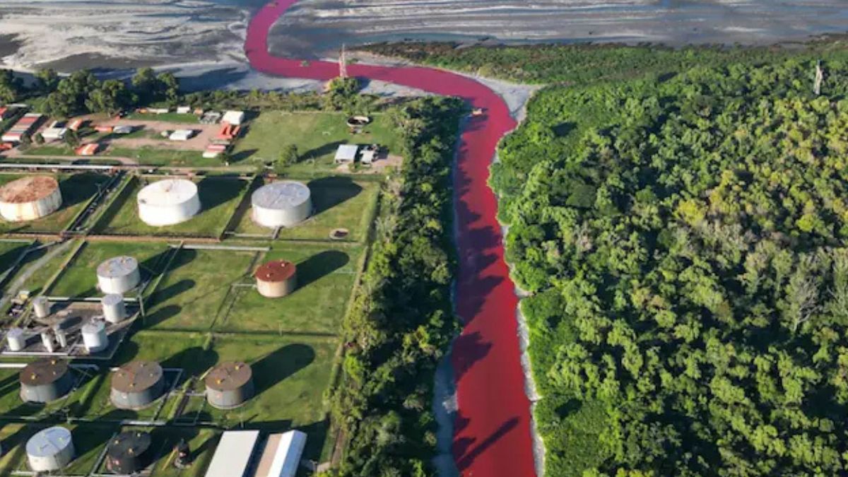 Argentina canal water turns 'blood red', know reason behind the mystery ...