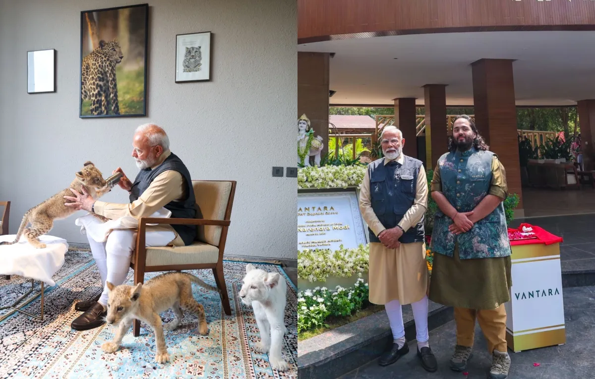 PM Modi inaugurates wildlife centre at Vantara in Jamnagar, feeds lion ...