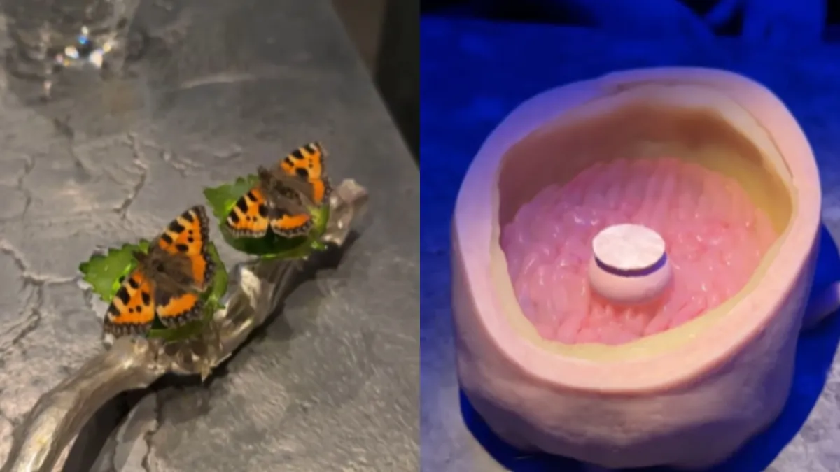 Edible butterflies to lamb brain mousse: Woman shares video from ...