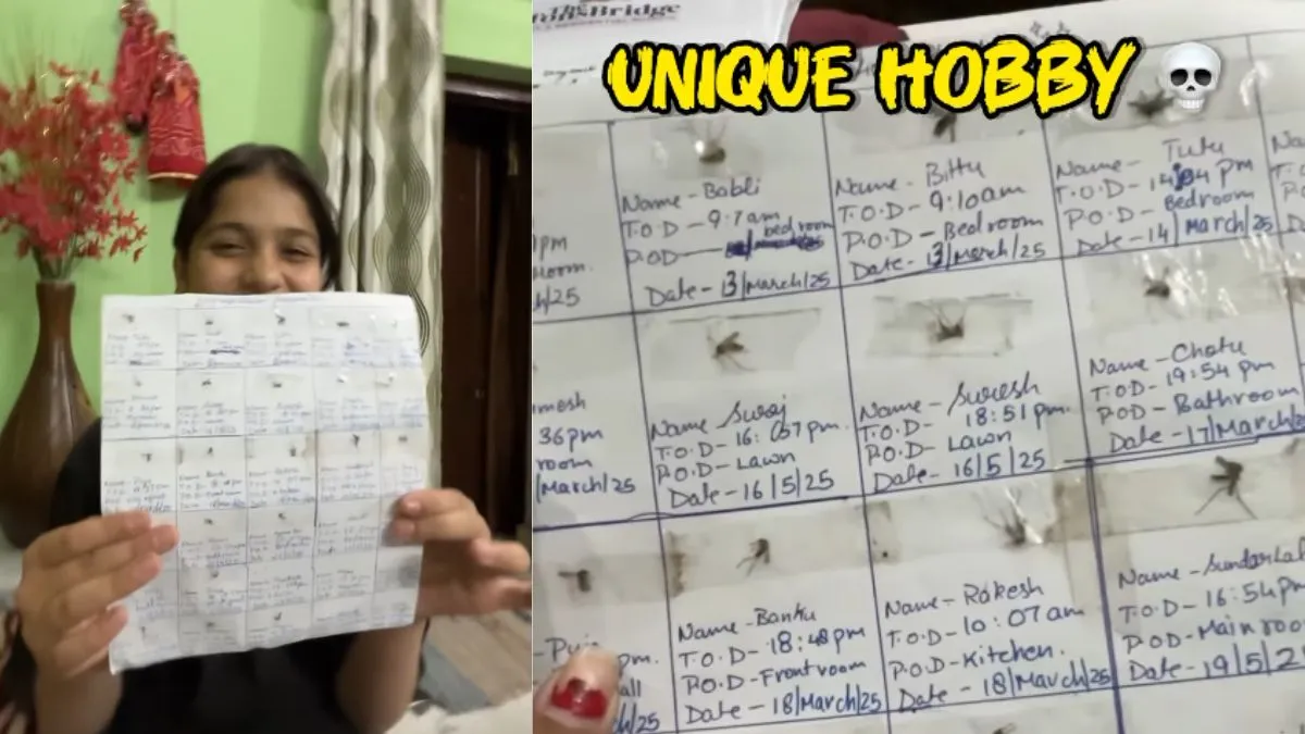 Mosquito hunter! Meet the girl whose unbelievable hobby stuns internet ...