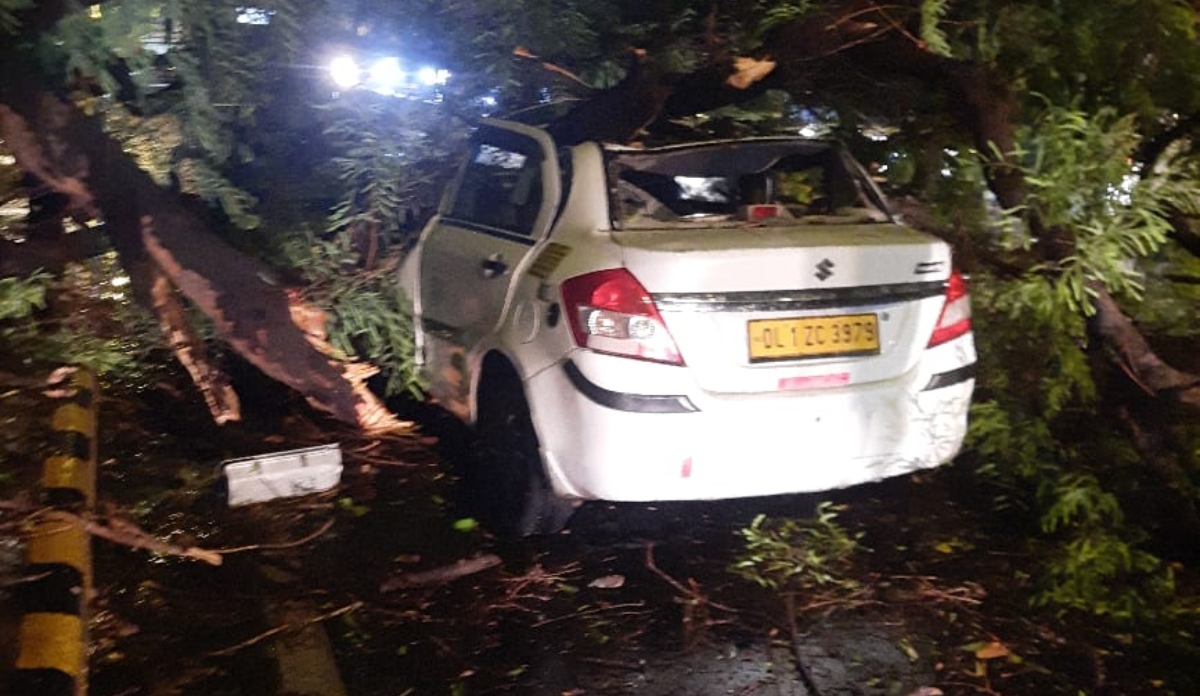 Hailstorms and heavy rains lash Delhi-NCR: Trees uprooted, flight ...
