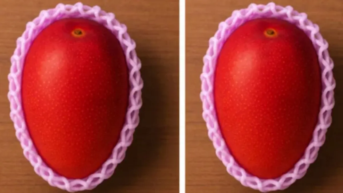 Here's why ‘Egg of the Sun' is world's most expensive mango, costs more ...