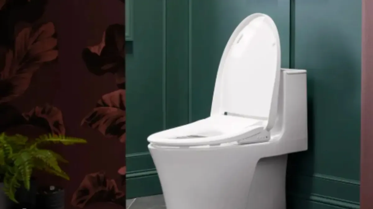 Noida man suffers 35% burns after toilet seat explodes, here's what ...