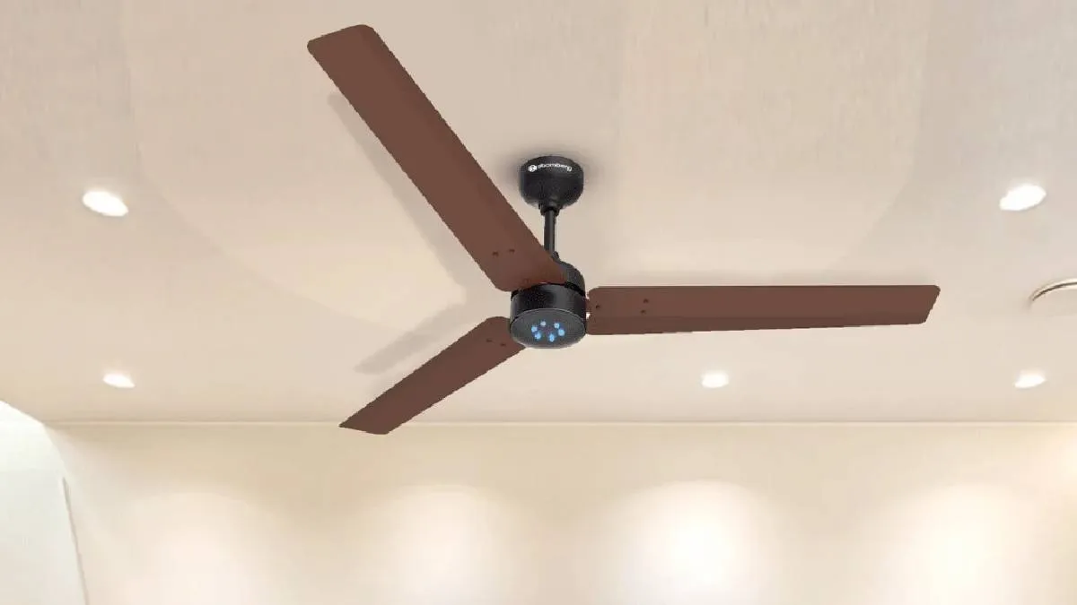 What are BLDC fans, and what makes them so efficient? | Technology News ...