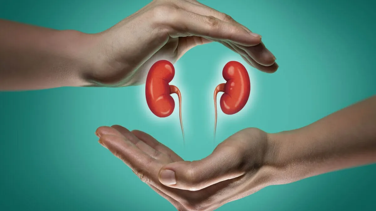 Want to keep your kidneys healthy? Adopt these 6 daily habits ...