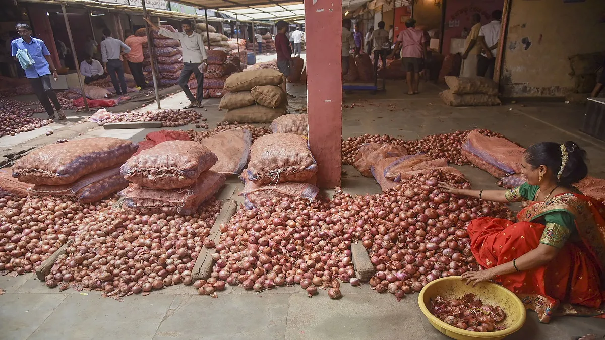onion price rise Maharashtra Unseasonal rains cause panic double headache for onion farmers amid ...