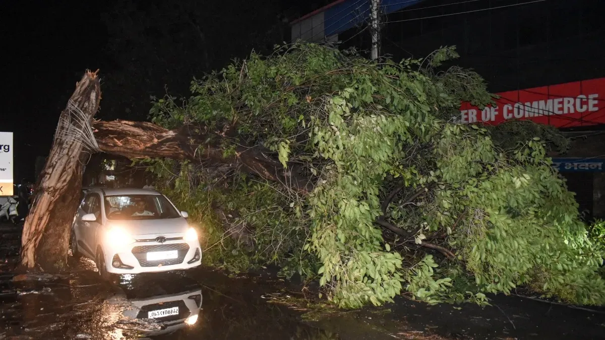 Uttar Pradesh: Over 30 killed in last 24 hours as heavy rain, storm ...