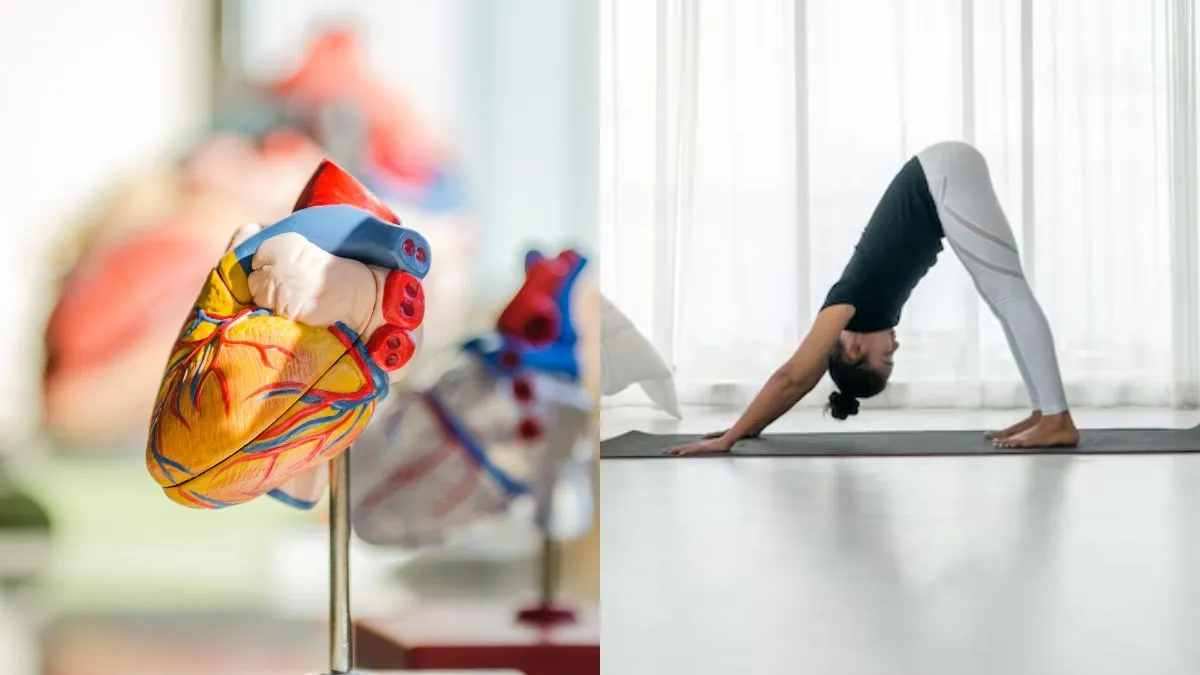 Yoga for heart health: 7 yoga poses that can help boost cardiovascular ...