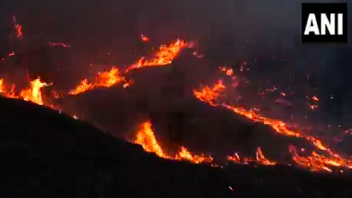 J-K: Massive forest fires rage in Udhampur and Poonch; officials ...