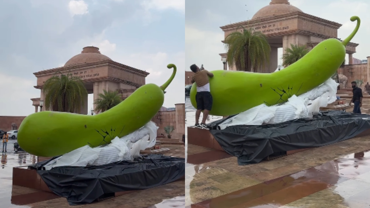 Giant 'lauki' grabs eyeballs in Lucknow, netizens say 'It's Pradhan ji ...