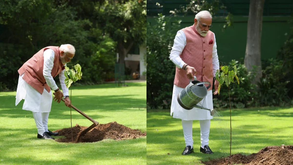 PM Modi plants sindoor sapling at his residence, know the significance ...