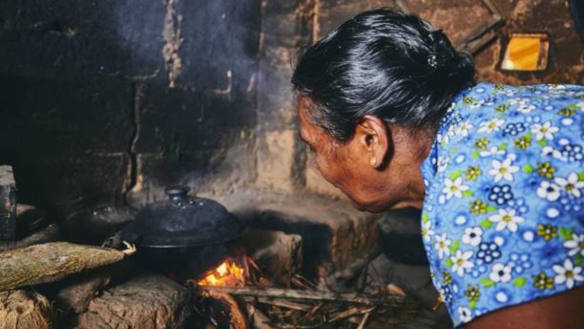 Women at greater risk of cognitive decline from polluting cooking fuels ...