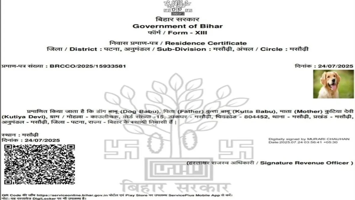 Bihar: ‘Dog Babu', son of ‘Kutta Babu' gets residence certificate, FIR ...