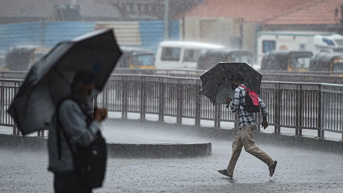Maharashtra weather update Palghar declares holiday for students in schools colleges amid heavy ...
