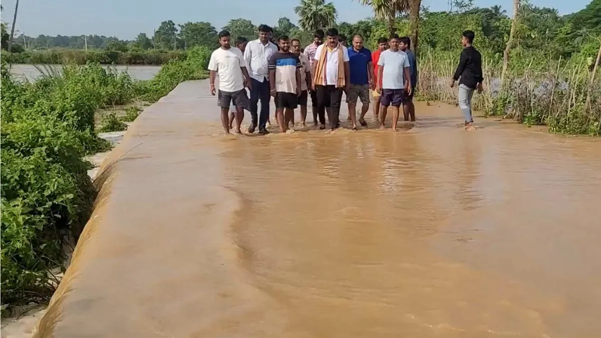 Odisha: Flood situation in several areas as three rivers swell; govt ...