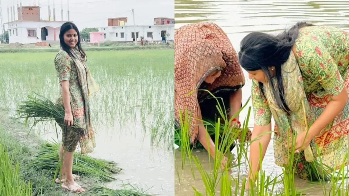 Samajwadi Party MP Priya Saroj's paddy farming video goes viral, draws ...
