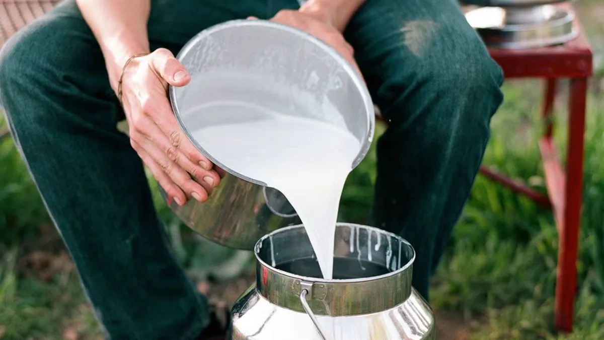 Raw milk during sawan? Know if you should drink it during the holy ...