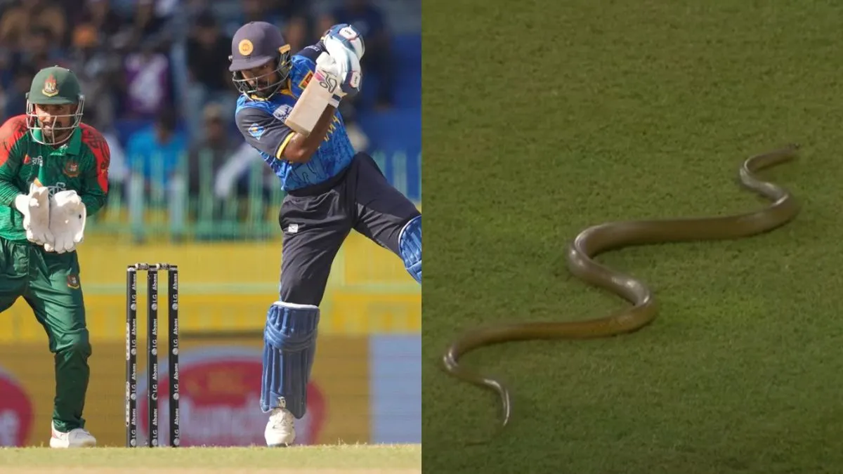 SL vs BAN: 7 ft snake enters ground during 1st ODI, stops play in ...