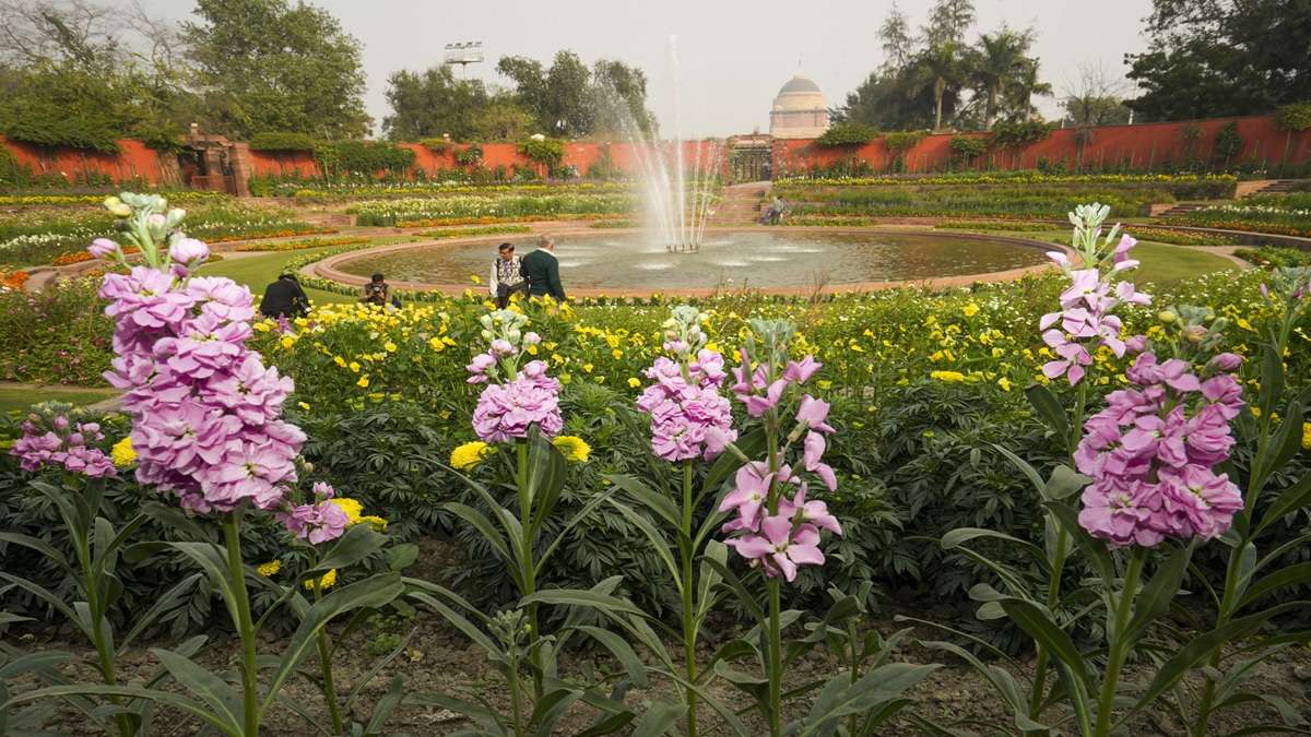 Amrit Udyan to reopen for public with new attractions and free entry from this date | India News ...