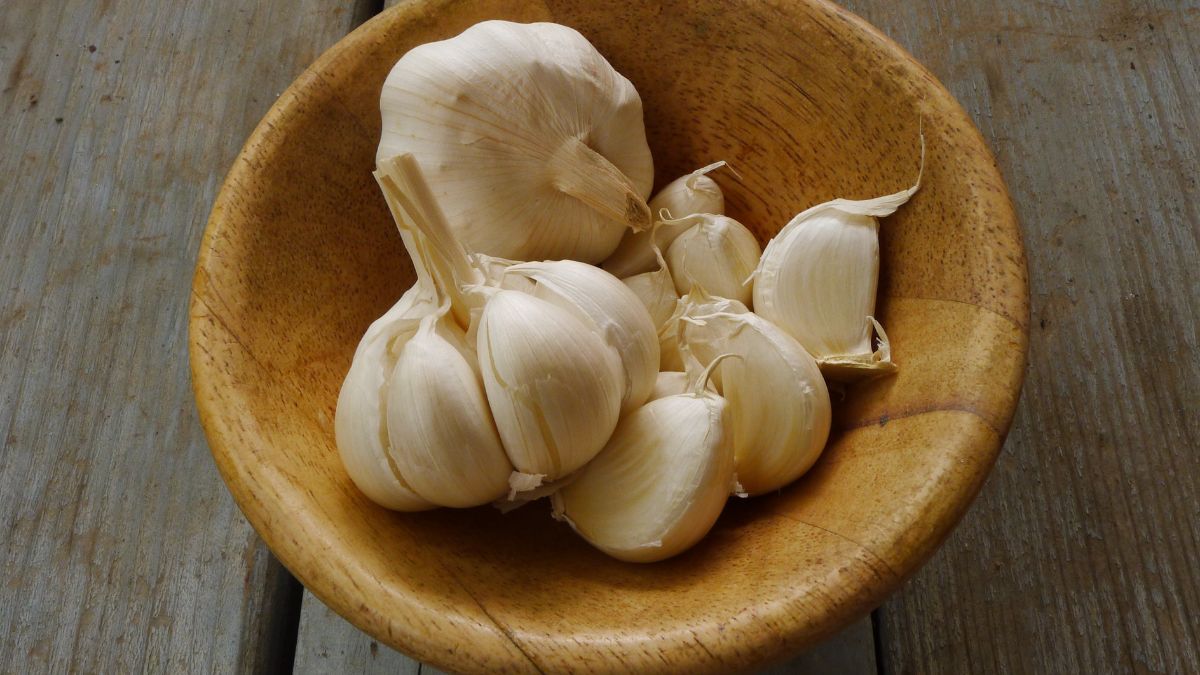 What happens to your body when you eat garlic everyday? | Food - India ...
