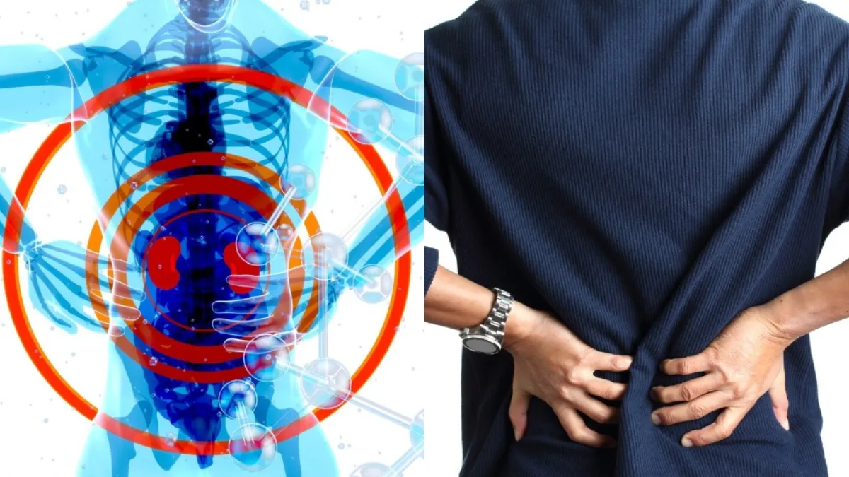 Kidney decline causes: Doctor shares proven ways to keep your kidney ...