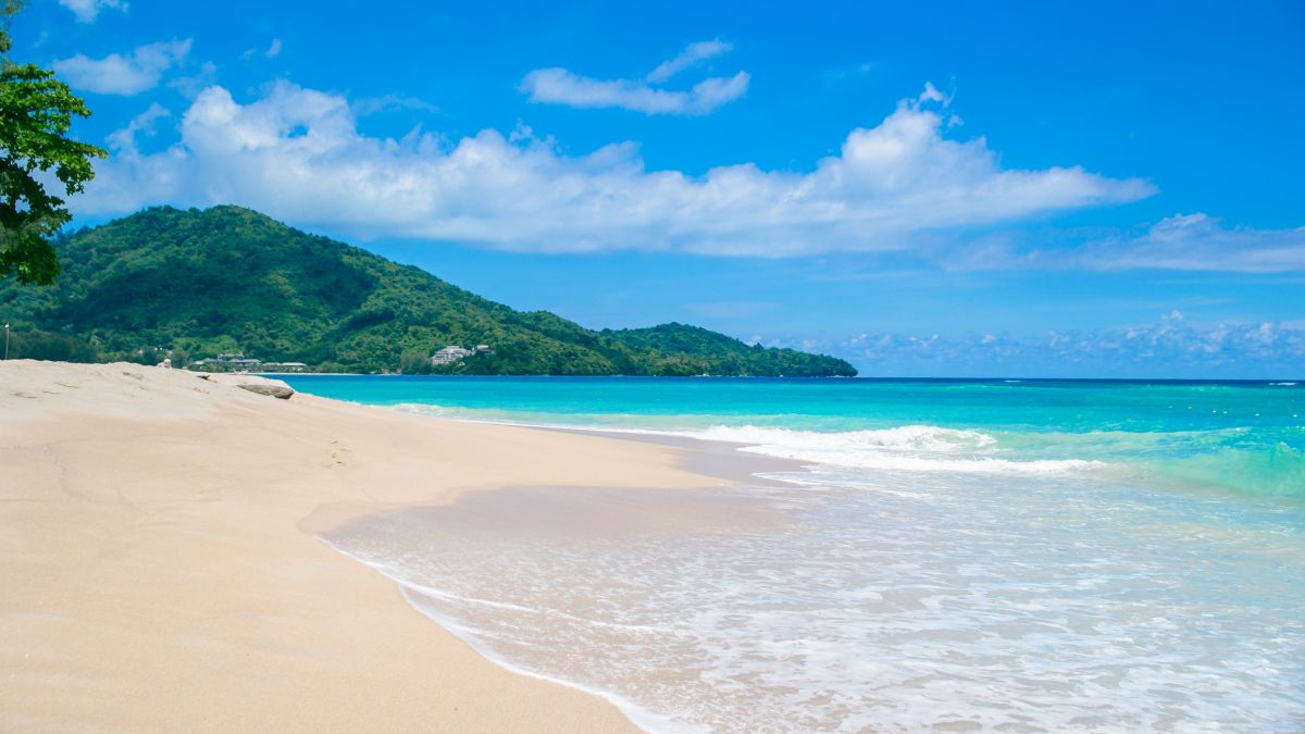 National Beach Day 2025: Captions and wishes to celebrate sun, sea and ...