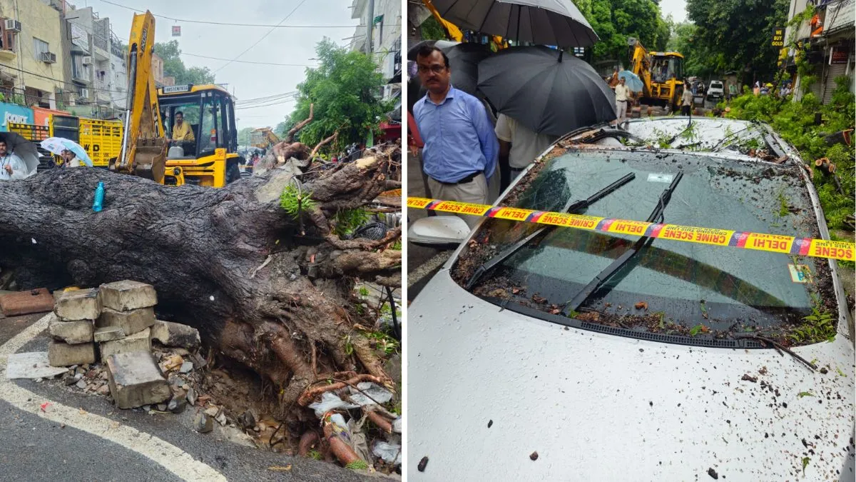 One killed as tree falls on vehicles in Delhi's Kalkaji amid heavy ...