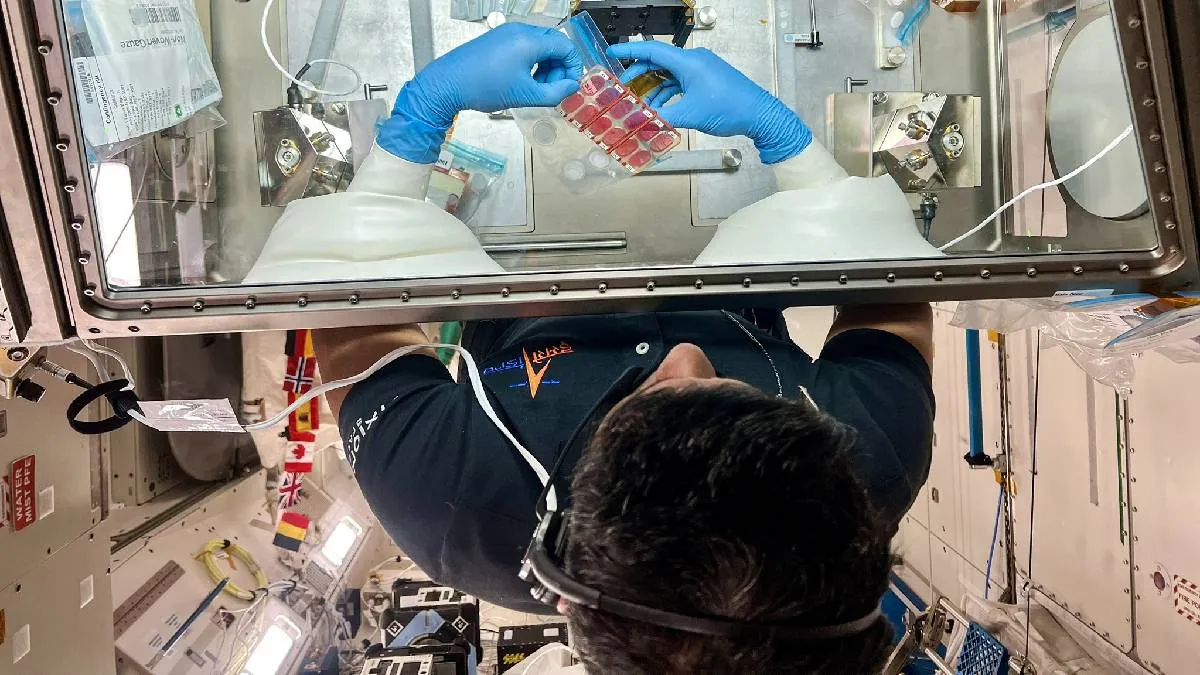Axiom-4 mission 'opened doors' for India's microgravity research, says ...