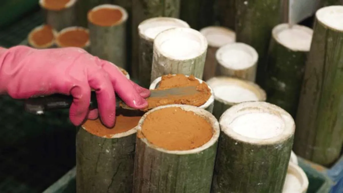 Korean bamboo salt: Why it's the world's most expensive salt and its ...